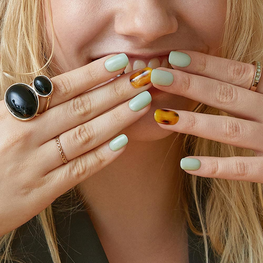 N Leon – ohora usa